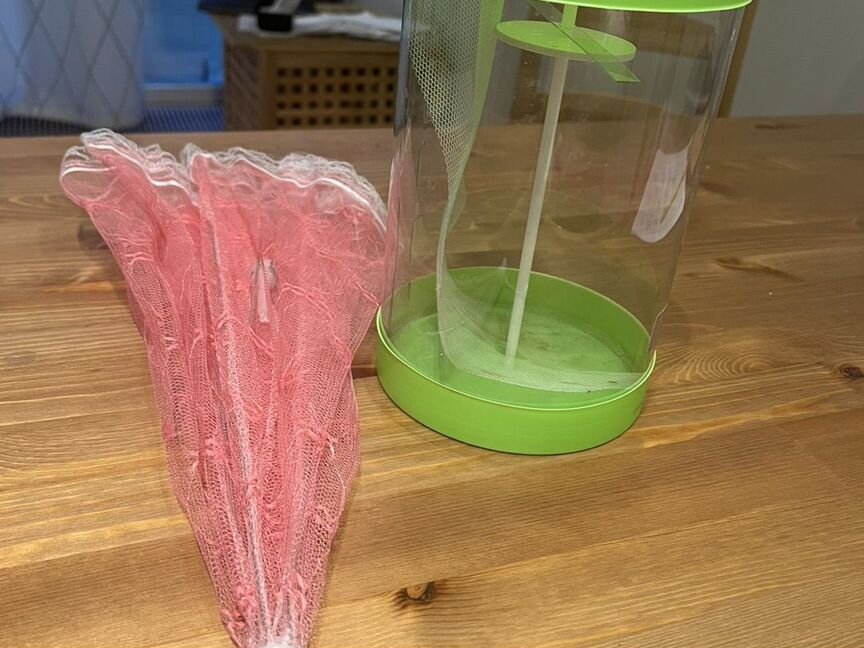 Бабочкарий