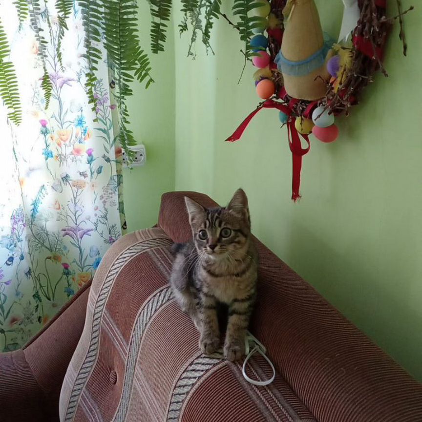 Мальчик в добрые руки