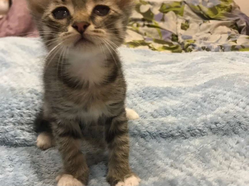 Особенный малыш