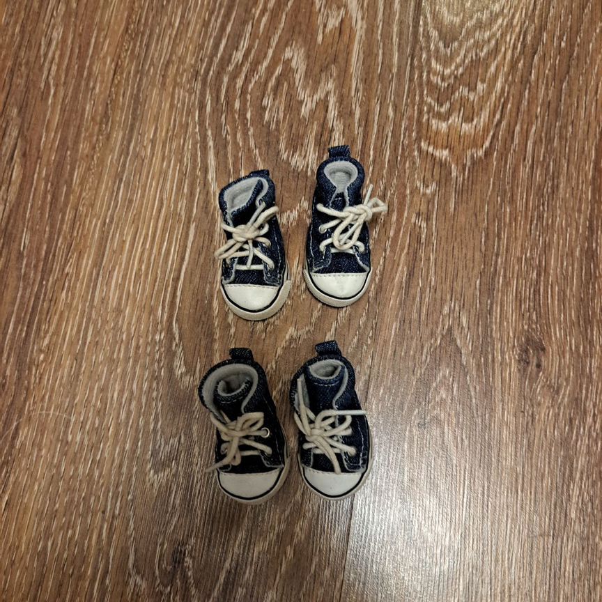 Обувь для маленьких пород собак