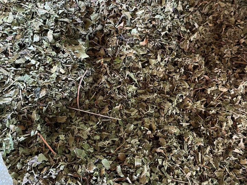 Лист винограда 10 кг отбитый от ветки