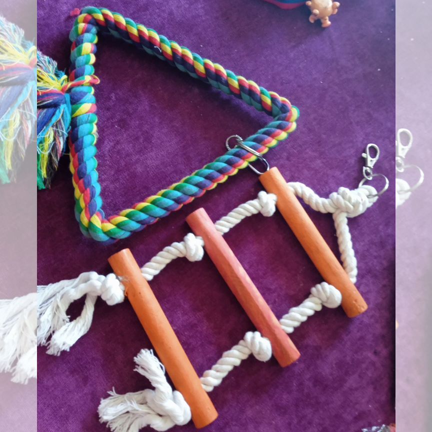 Для грызунов и птиц