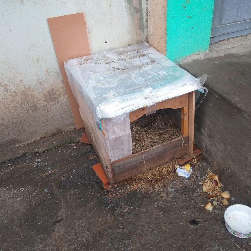 Будка для собаки