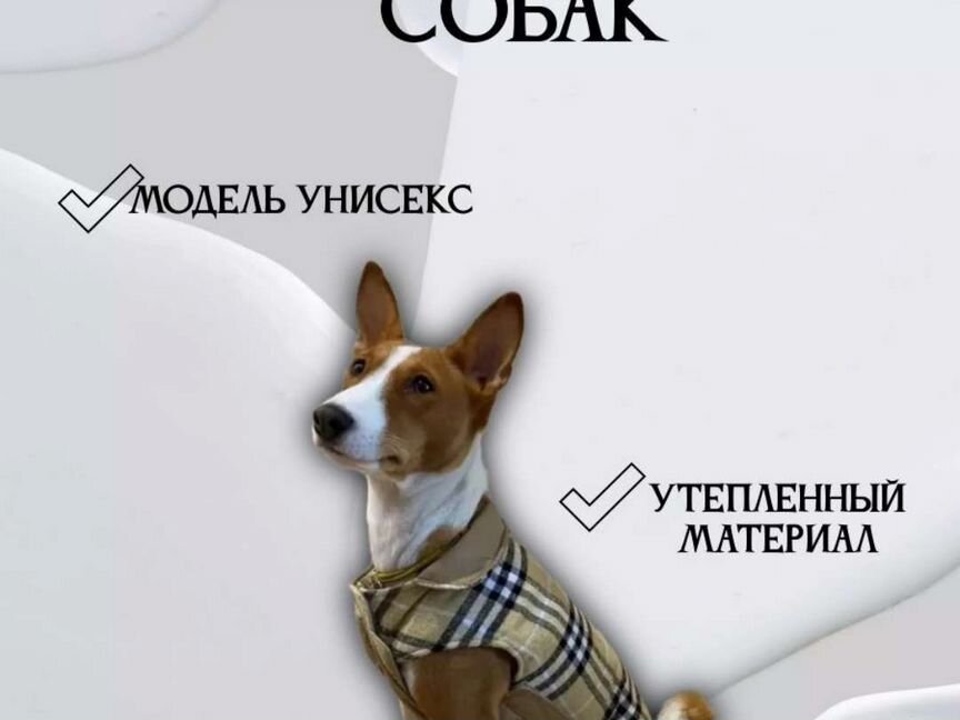 Жилетка для собак демисезон
