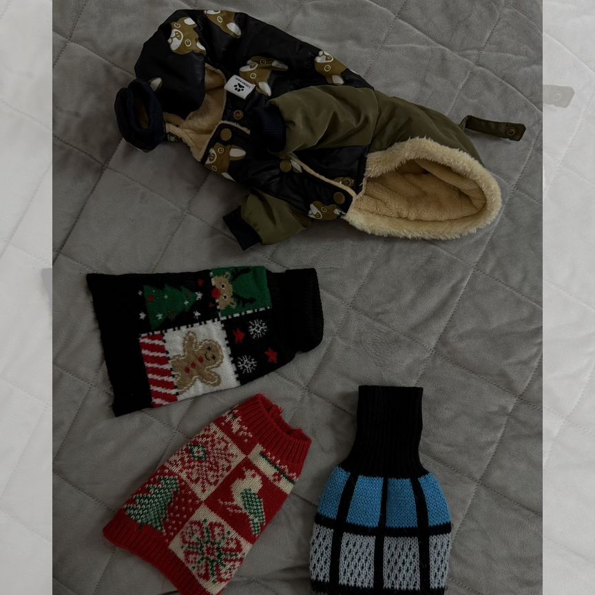 Одежда для маленьких собак xs