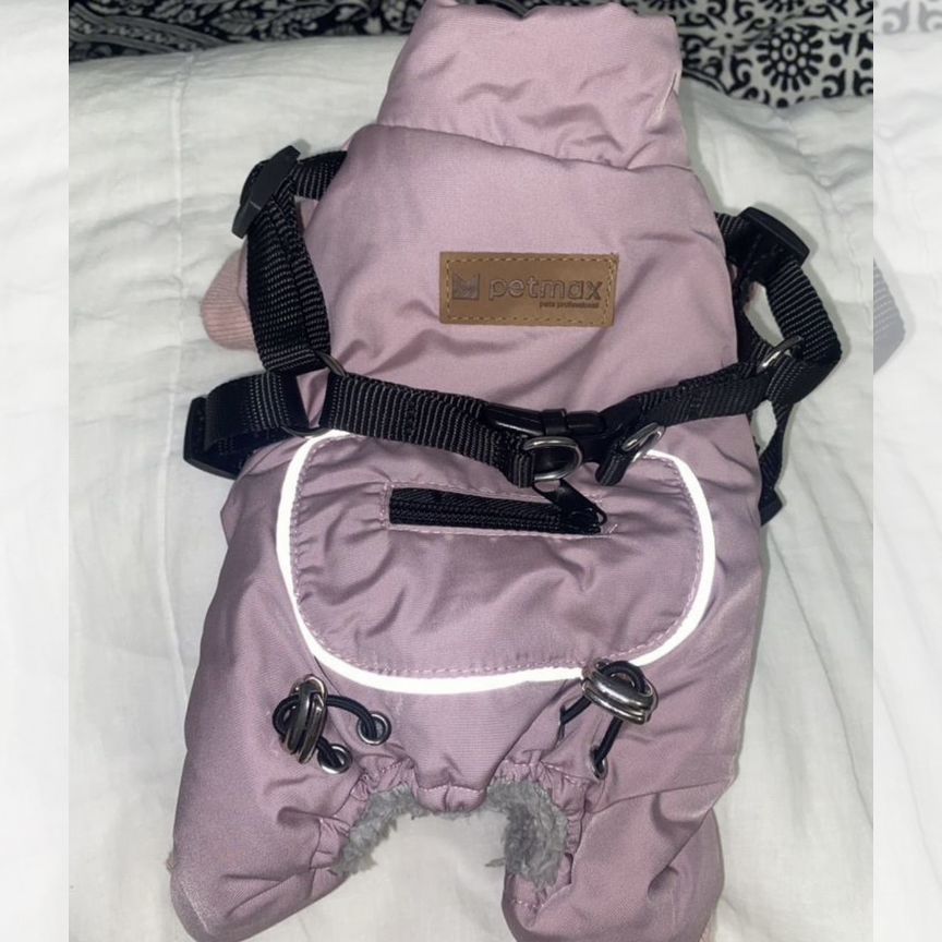 Комбинезон для маленькой собаки petmax xs