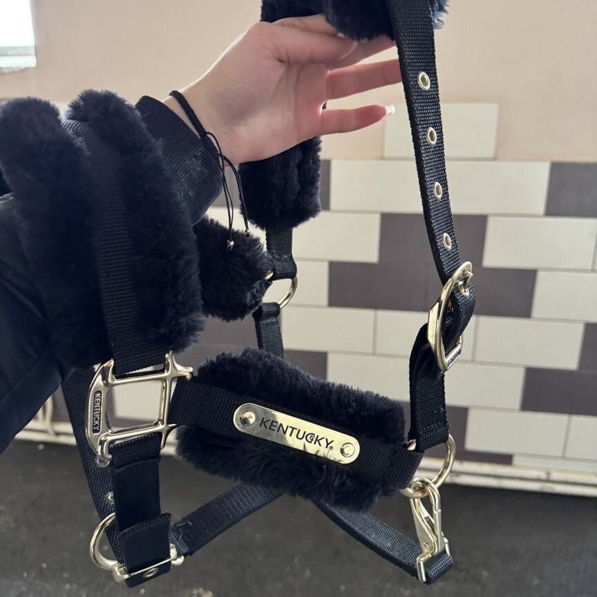 Недоуздок Kentucky