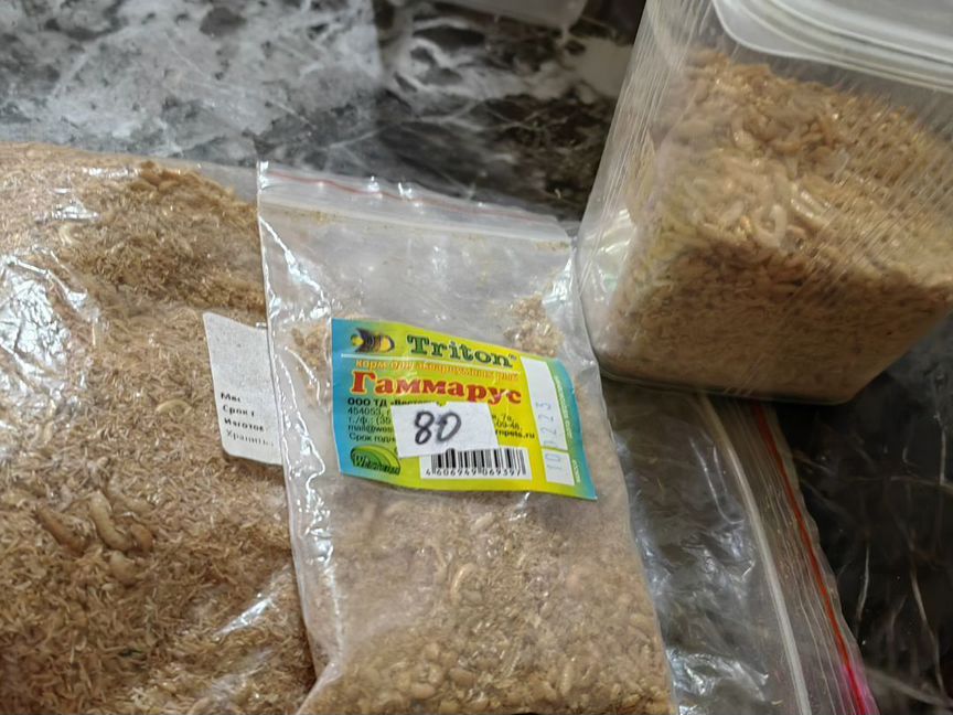 Гаммарус(корм для рыбок)