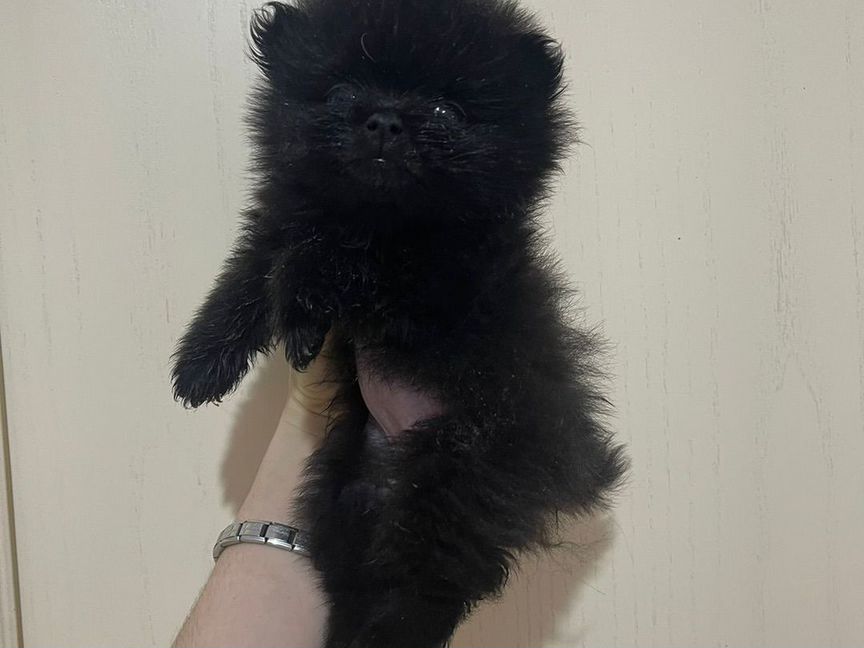 Мини угольки