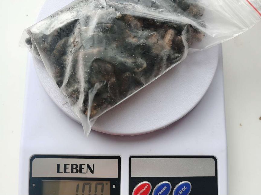 Сверчки кормовые замороженные