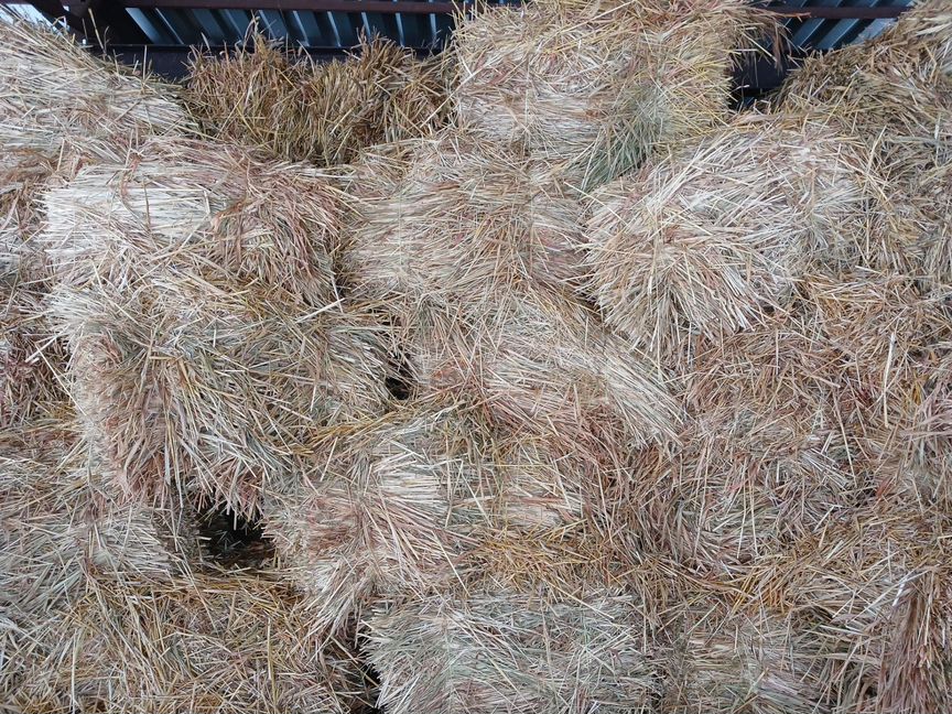 Сено в тюках