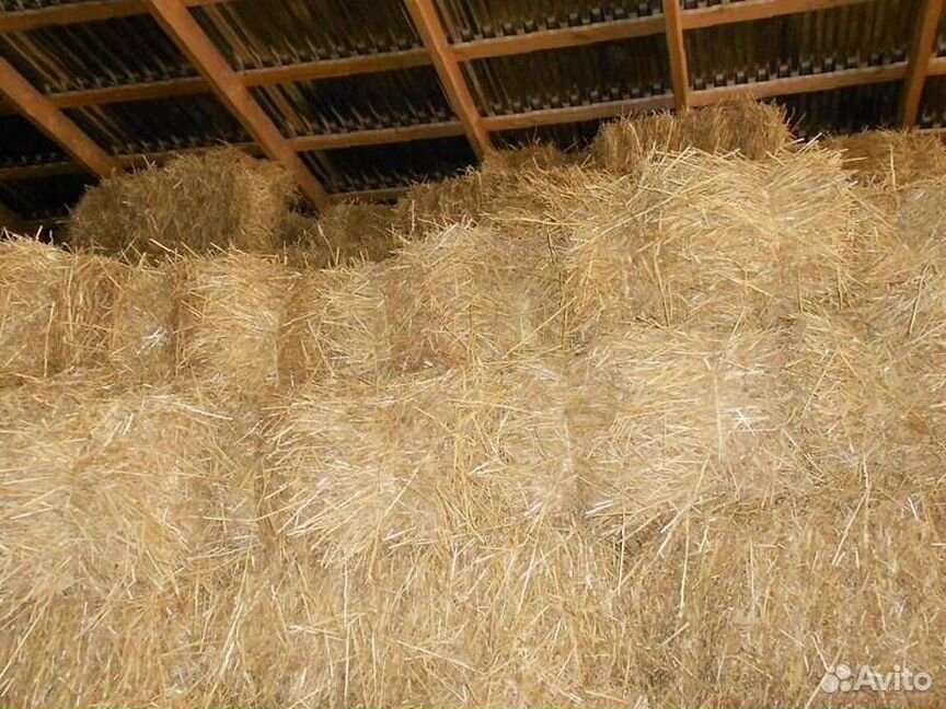 Солома в тюках гороховая, пшеничная