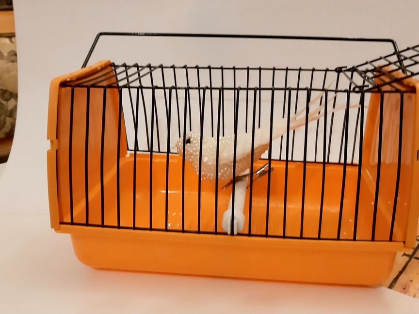 Переноска для птички или грызунов
