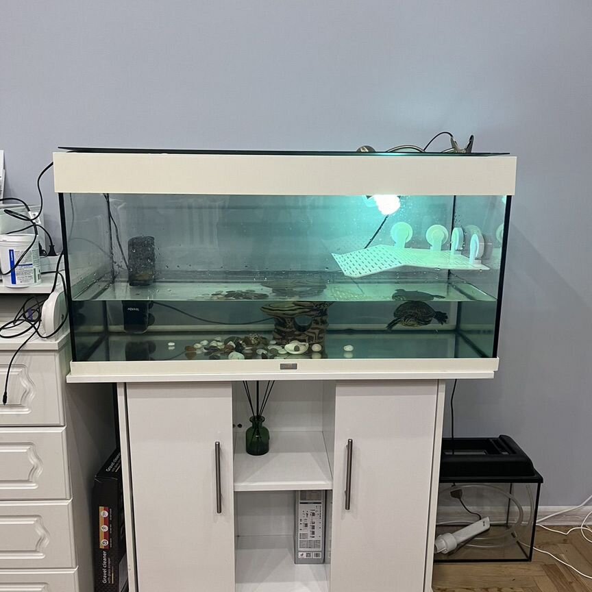 Аквариум с черепахой