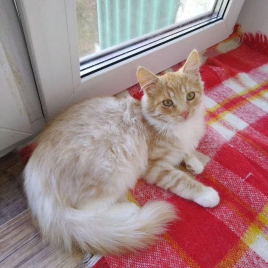 Мишутка 5 мес