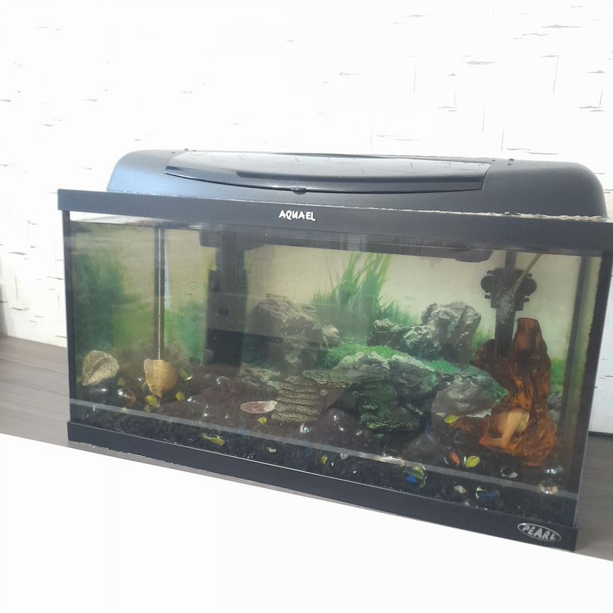 Аквариум 40 литров