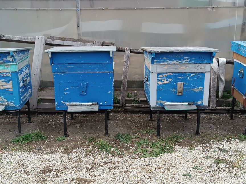 Продам улья для пчёл
