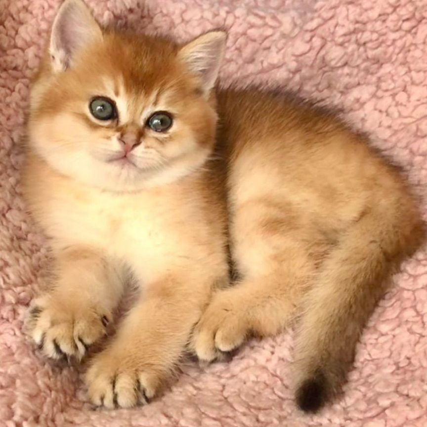 Коасивый мальчик
