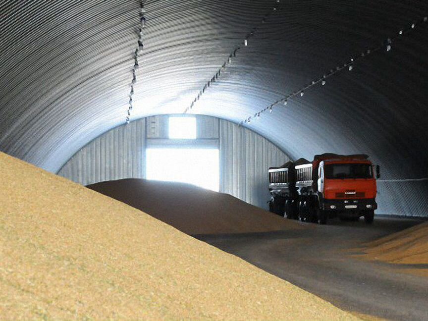 Продаю пшеницу, ячмень, овес, рожь