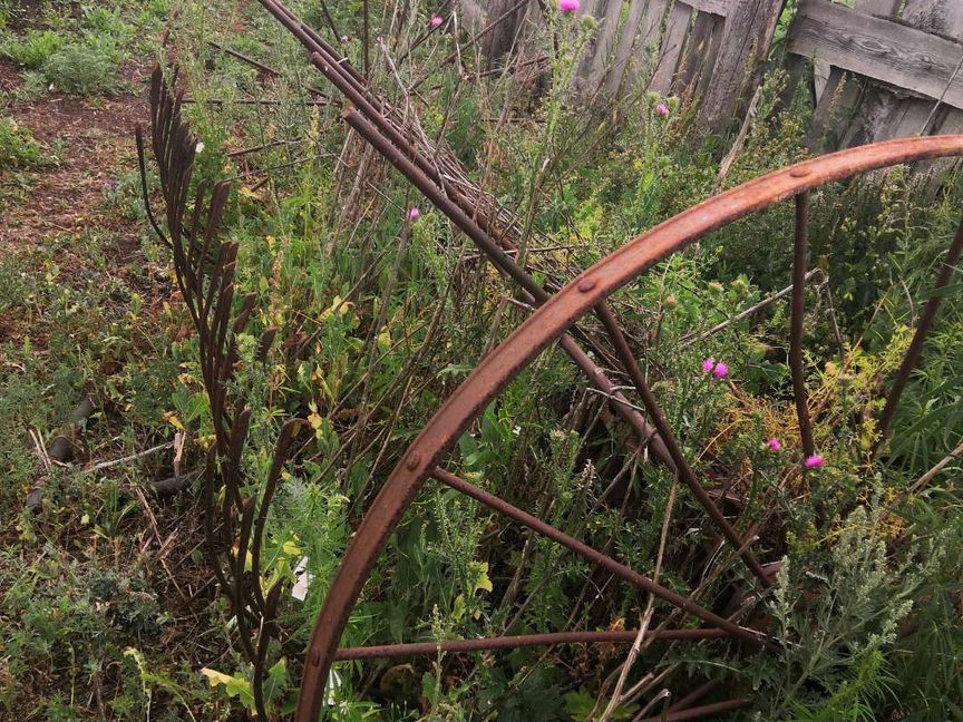 Согребалка конная