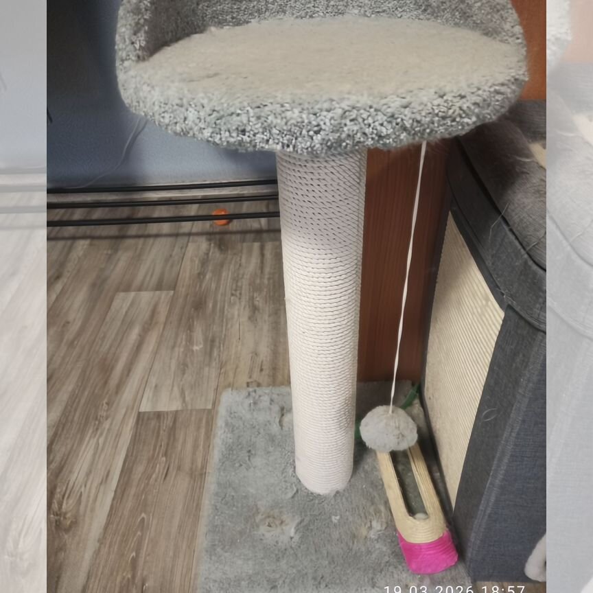 Когтеточка бу