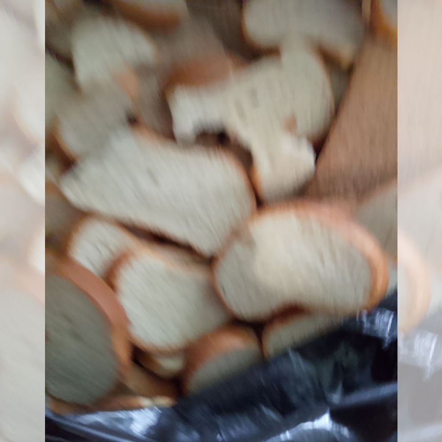 Корм для животных