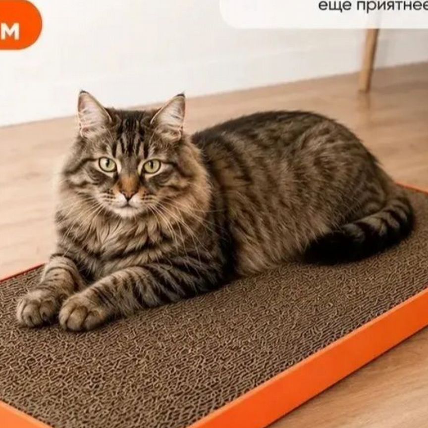 Когтеточка и лежанка для кошки