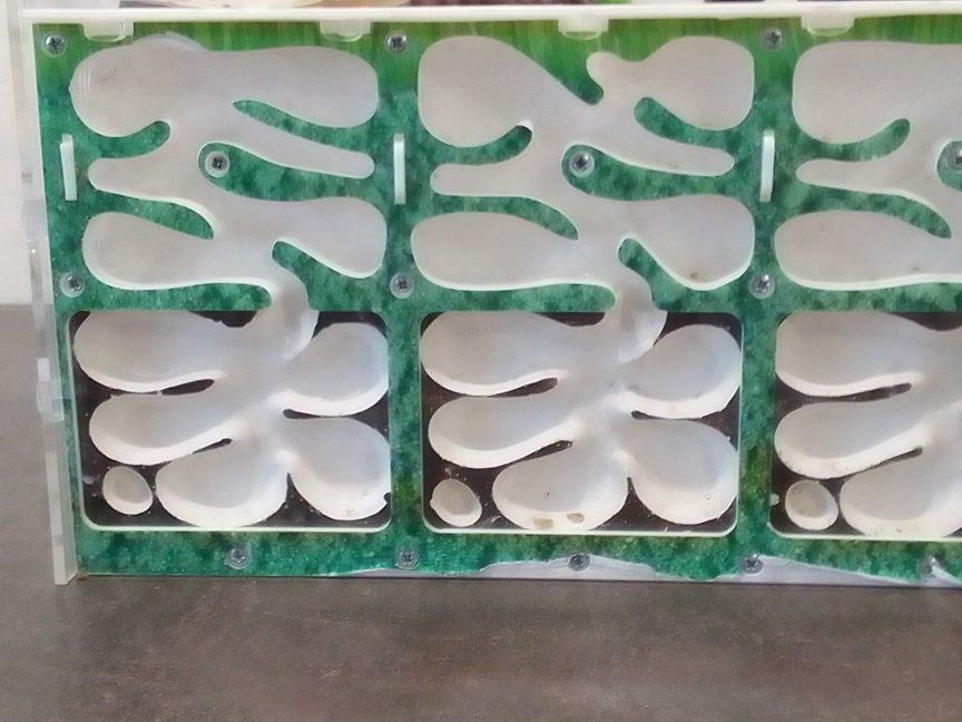 Муравьиная ферма без муравьев