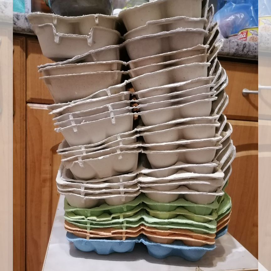 Ячейки, лотки для яиц