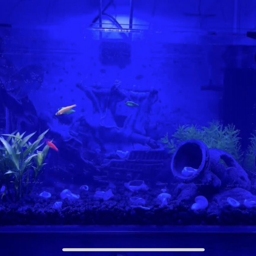 Аквариум с рыбками бу