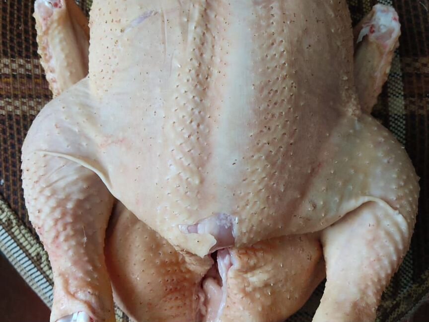 Бролеры домашние