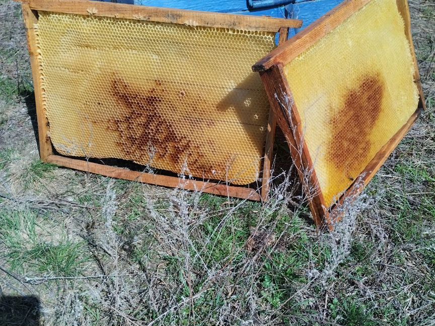 Рамка с сушью