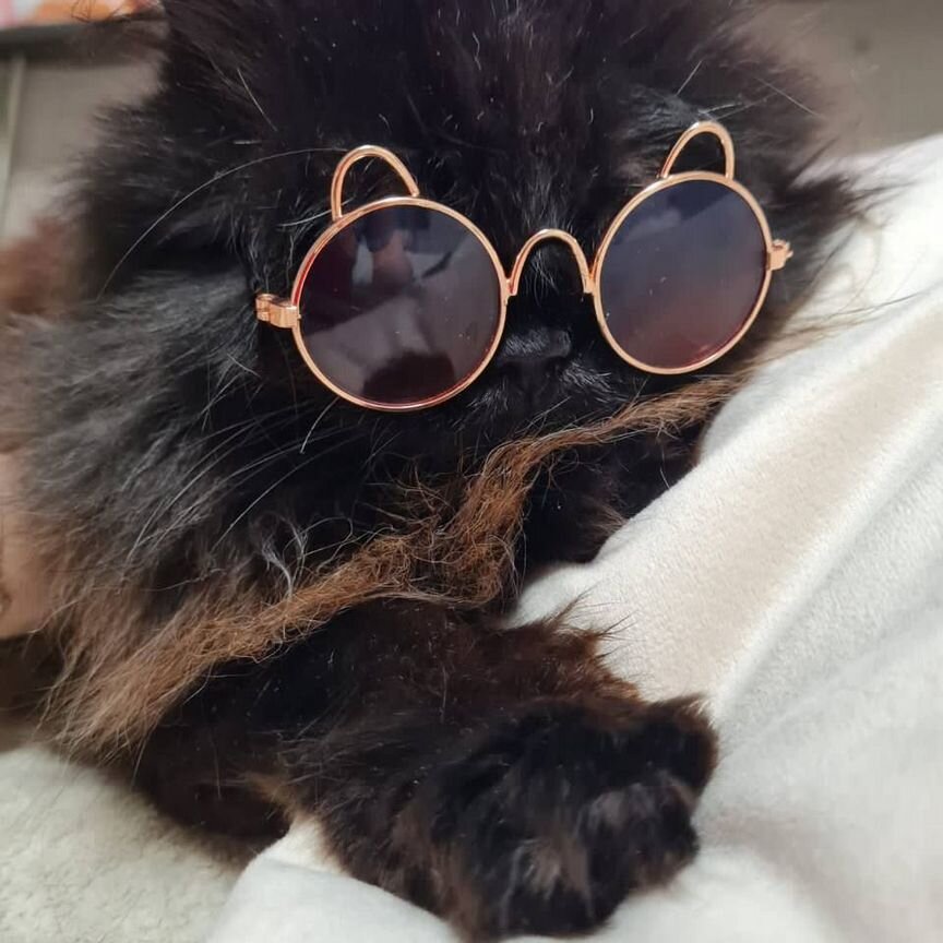 Старушечка кошечка Фея