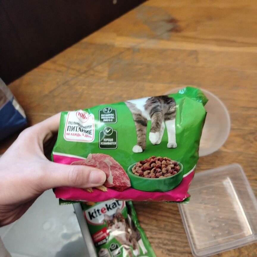 Предметы для котов