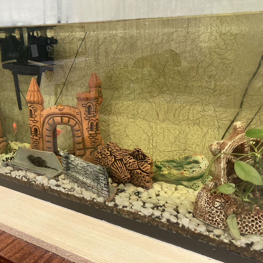 Аквариум с рыбками 70 литров