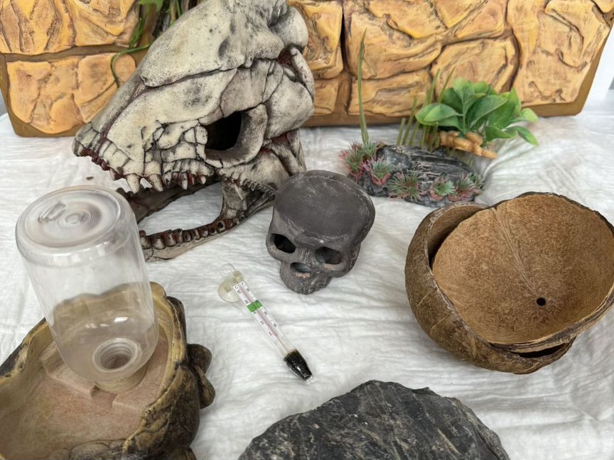 Декорации для террариума