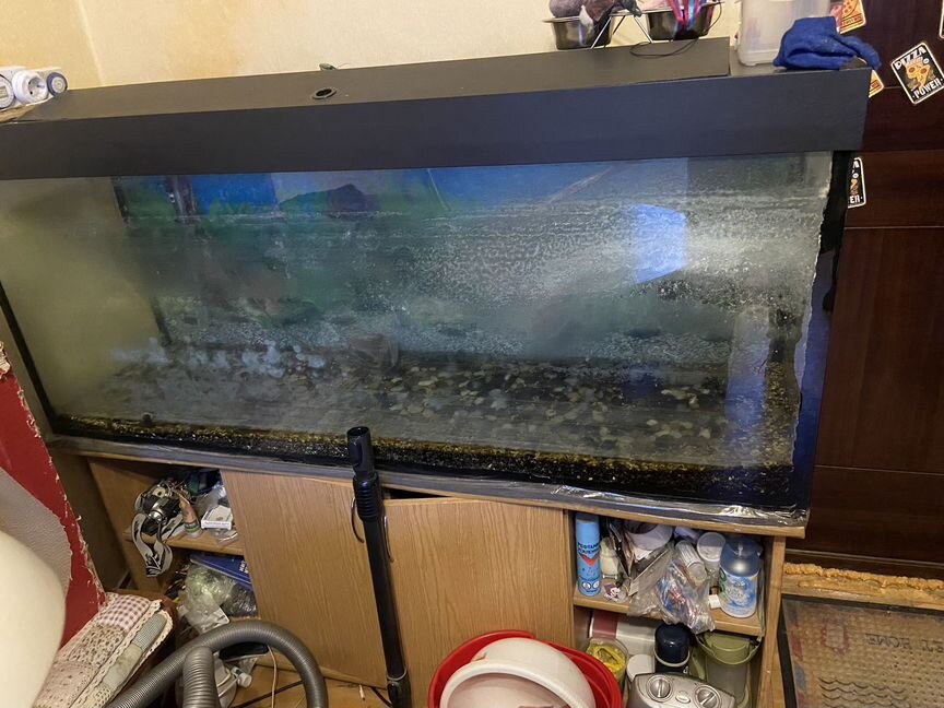 Даром аквариум с тумбой и грунтом 360 литров