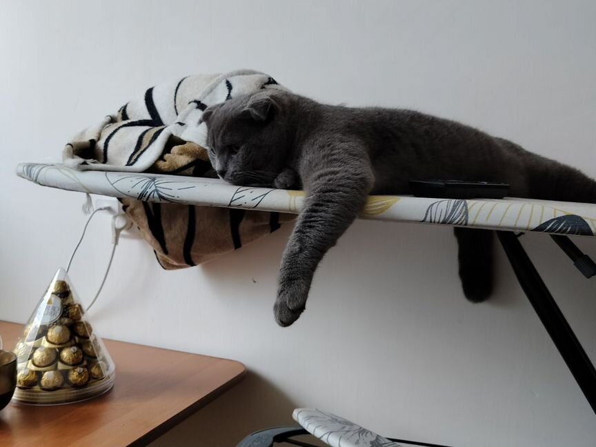 Вязка