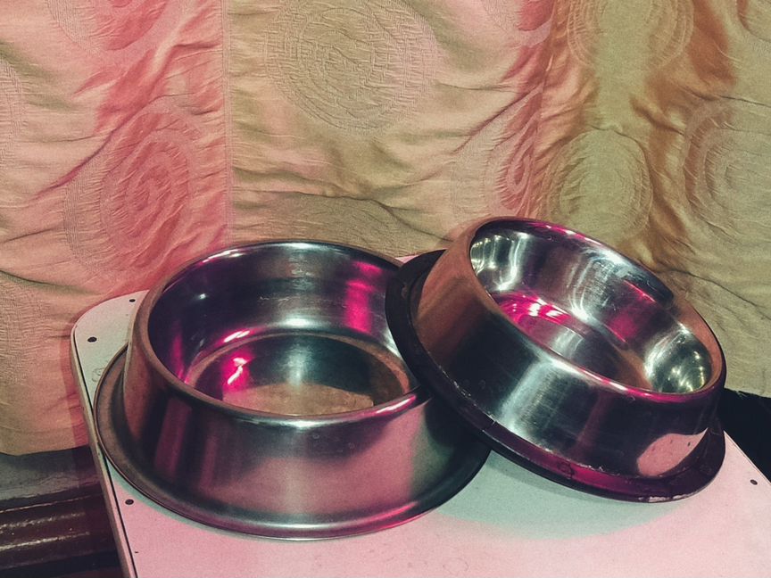 Металлические миски для собаки