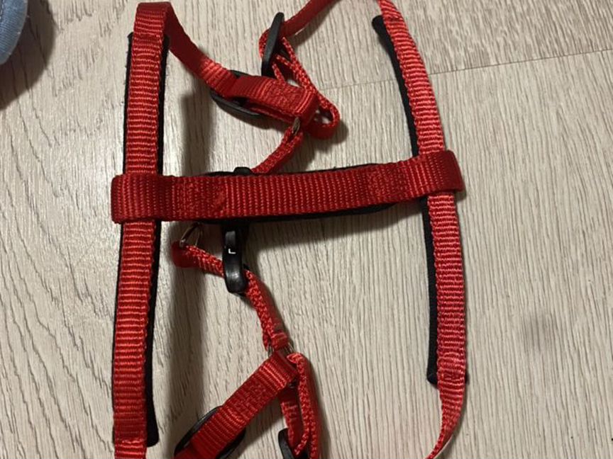 Новая шлейка + кофты+ обувь для маленькой собаки