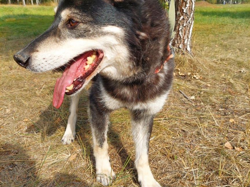 Сколько лет я жду тебя