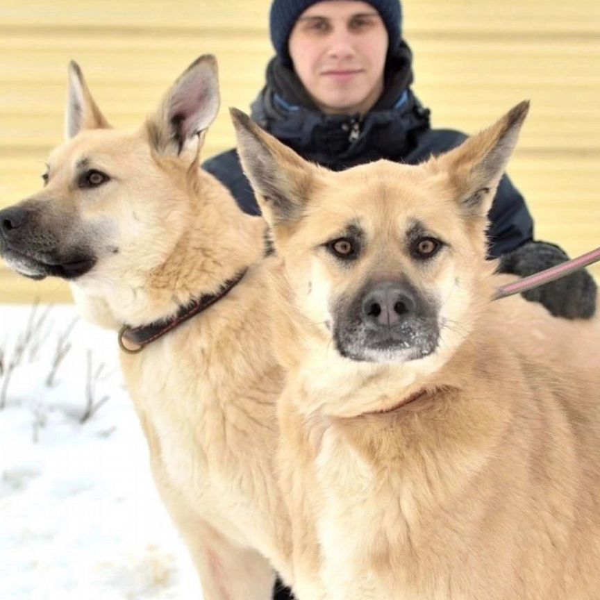 Два неземных красавчика ищут дом. Мальчик. Девочка
