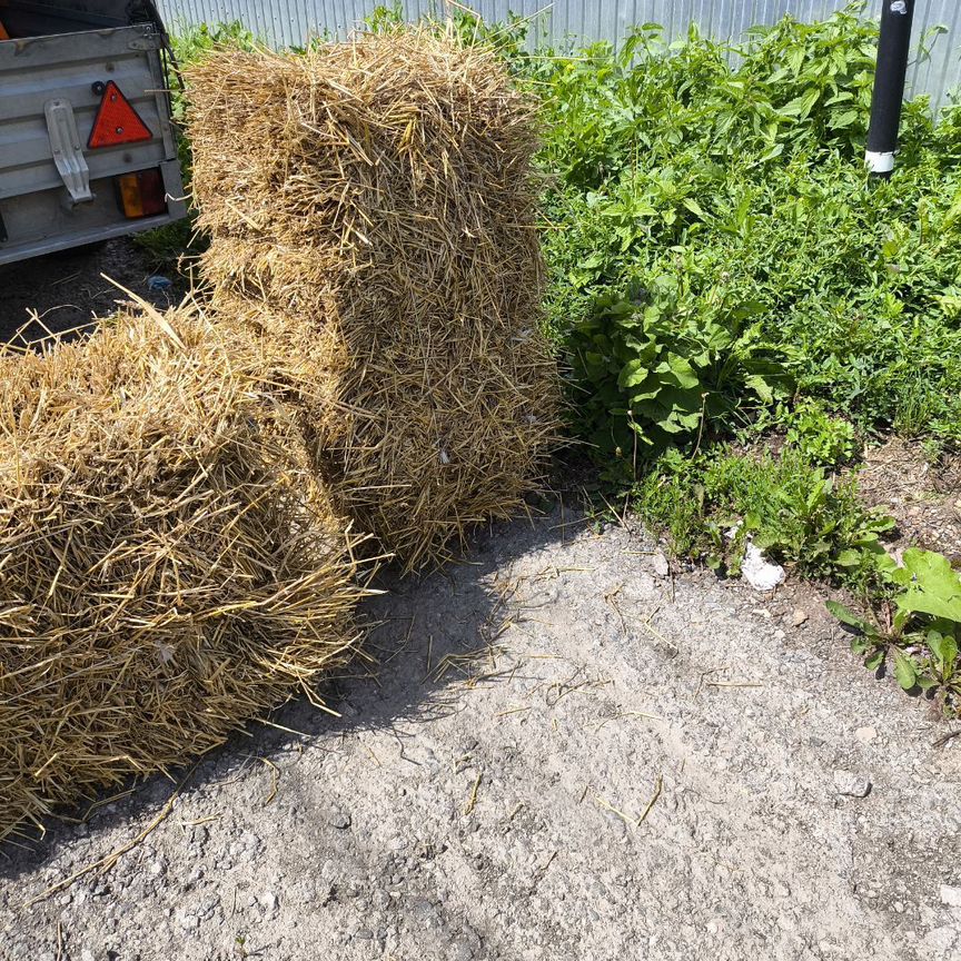 Солома в тюках
