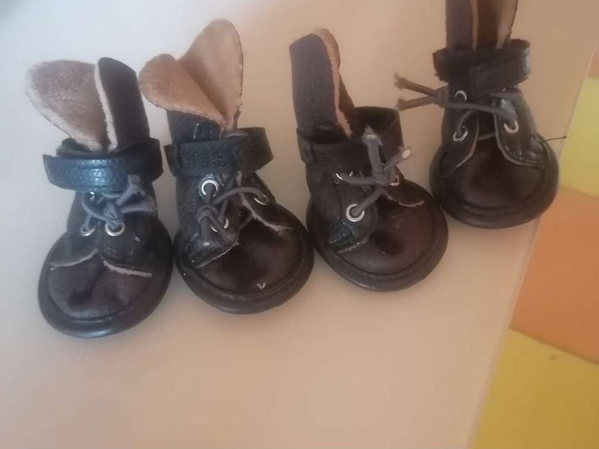 Демисезонное ботинки для собак