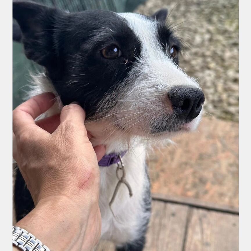 Маленькая Маруська