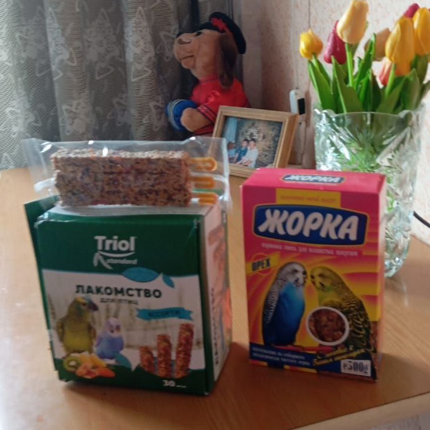 Попугаи не разлучники с клеткой и кормом