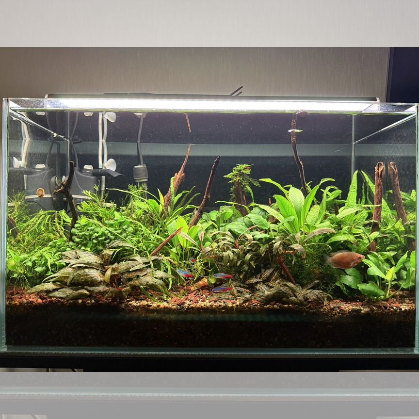 Аквариум 60 литров