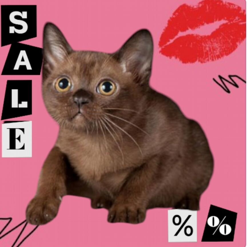 Американские бурмы