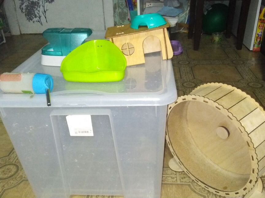 Контейнер для хомячка. Набор правильный