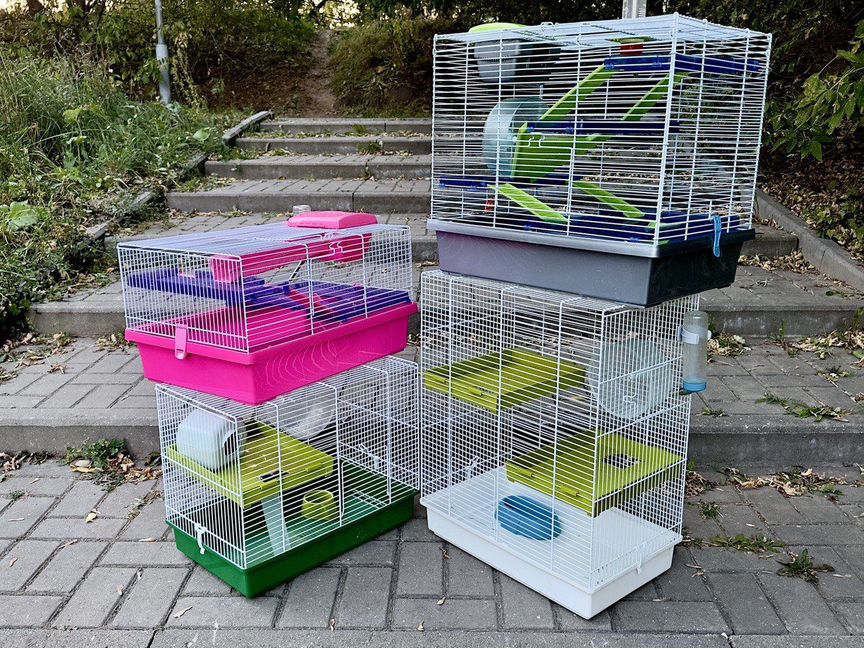 Клетка для хомяка крысы кроысенка грызунов